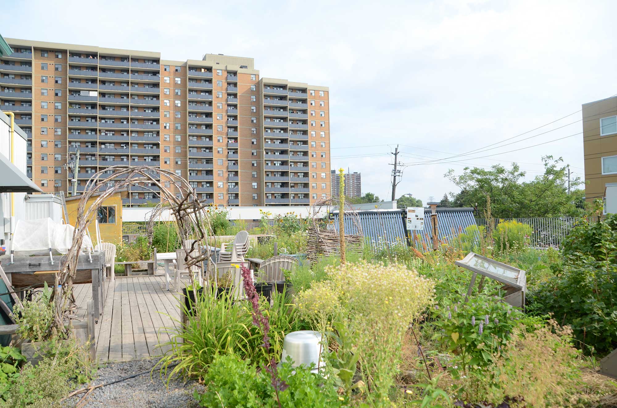 Carrot City - AccessPoint on Danforth