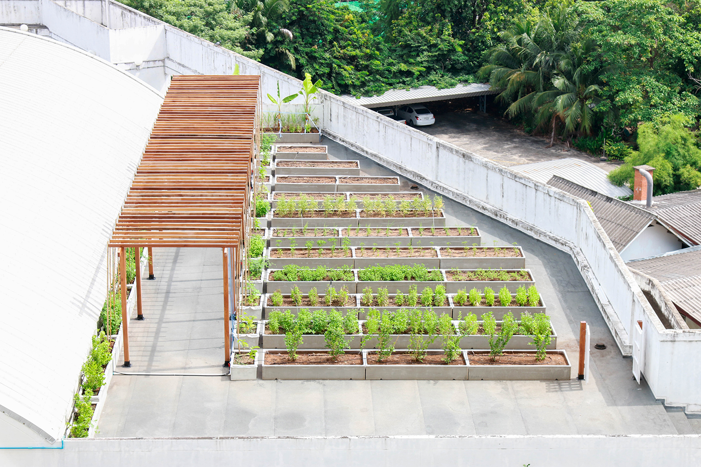 Carrot City - KU Urban Agriculture