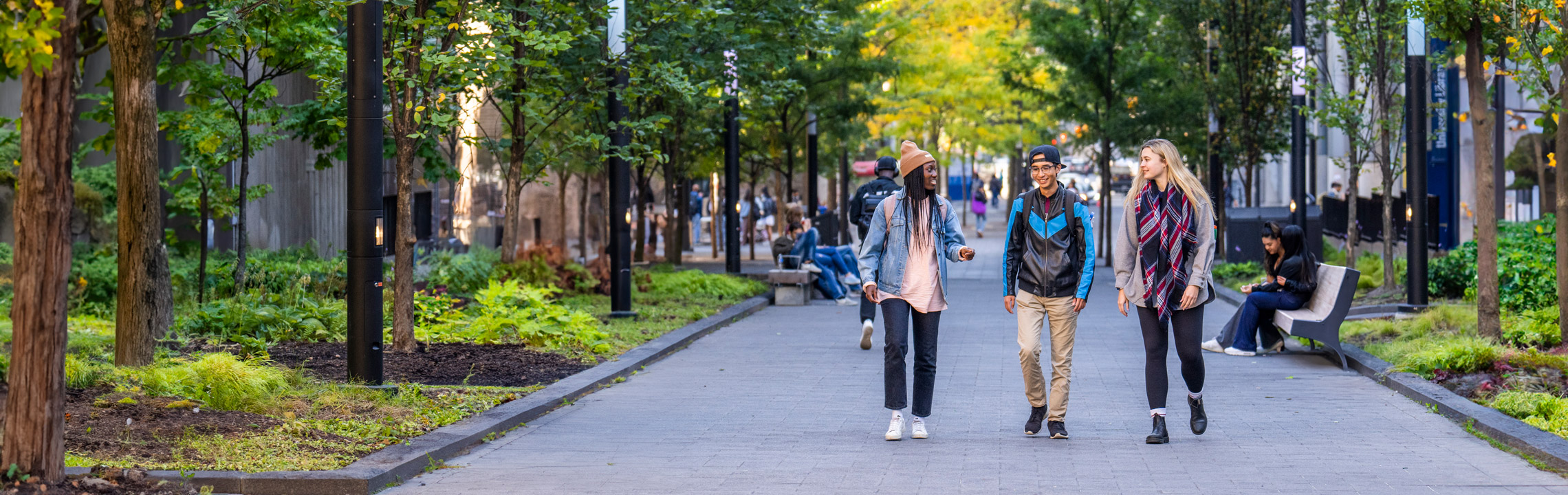 Update your email profile - Admissions - Toronto Metropolitan ...