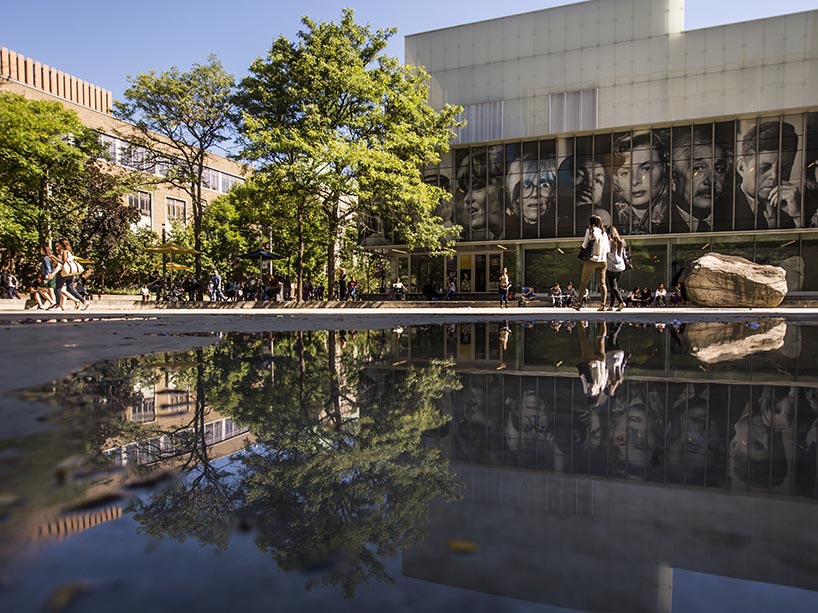 Why I Love Our University First Year Vs Third Year Student Blog