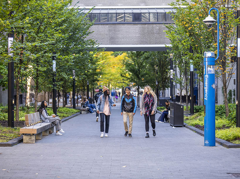 Your First-Year TMU Survival Guide - Student Blog - Toronto ...