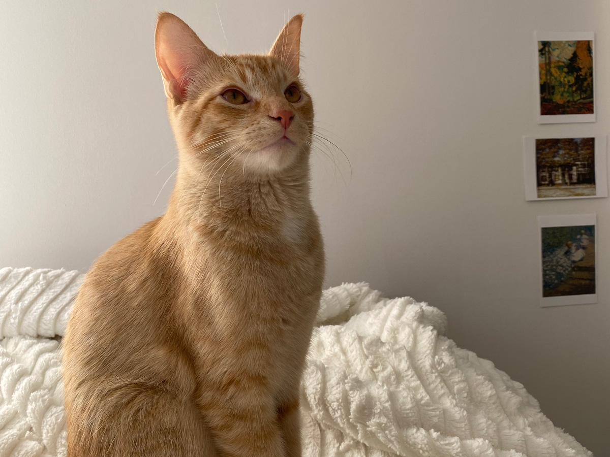 Meet Claire, a fourth-year English student! - Student Blog - Toronto ...