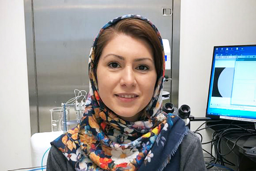 Program - Biomedical Engineering Graduate Program - Toronto Metropolitan University