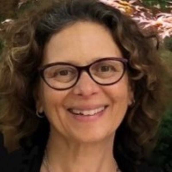 Karey Iron - CERC in Health Equity and Community Wellbeing - Toronto ...