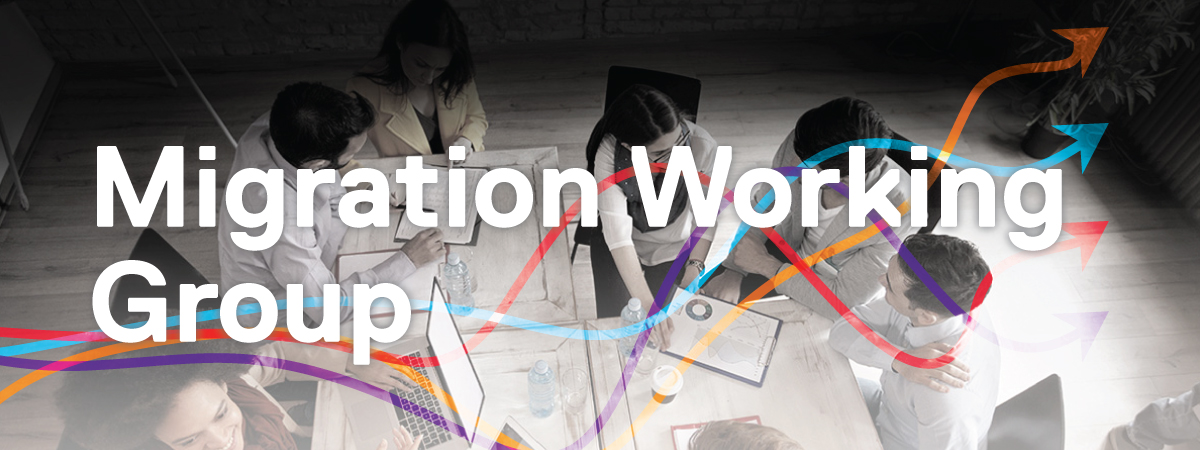 Migration Working Group: Policies and practices of labour market ...