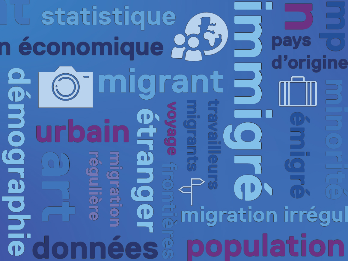 The words and things of migration - CERC in Migration and Integration ...