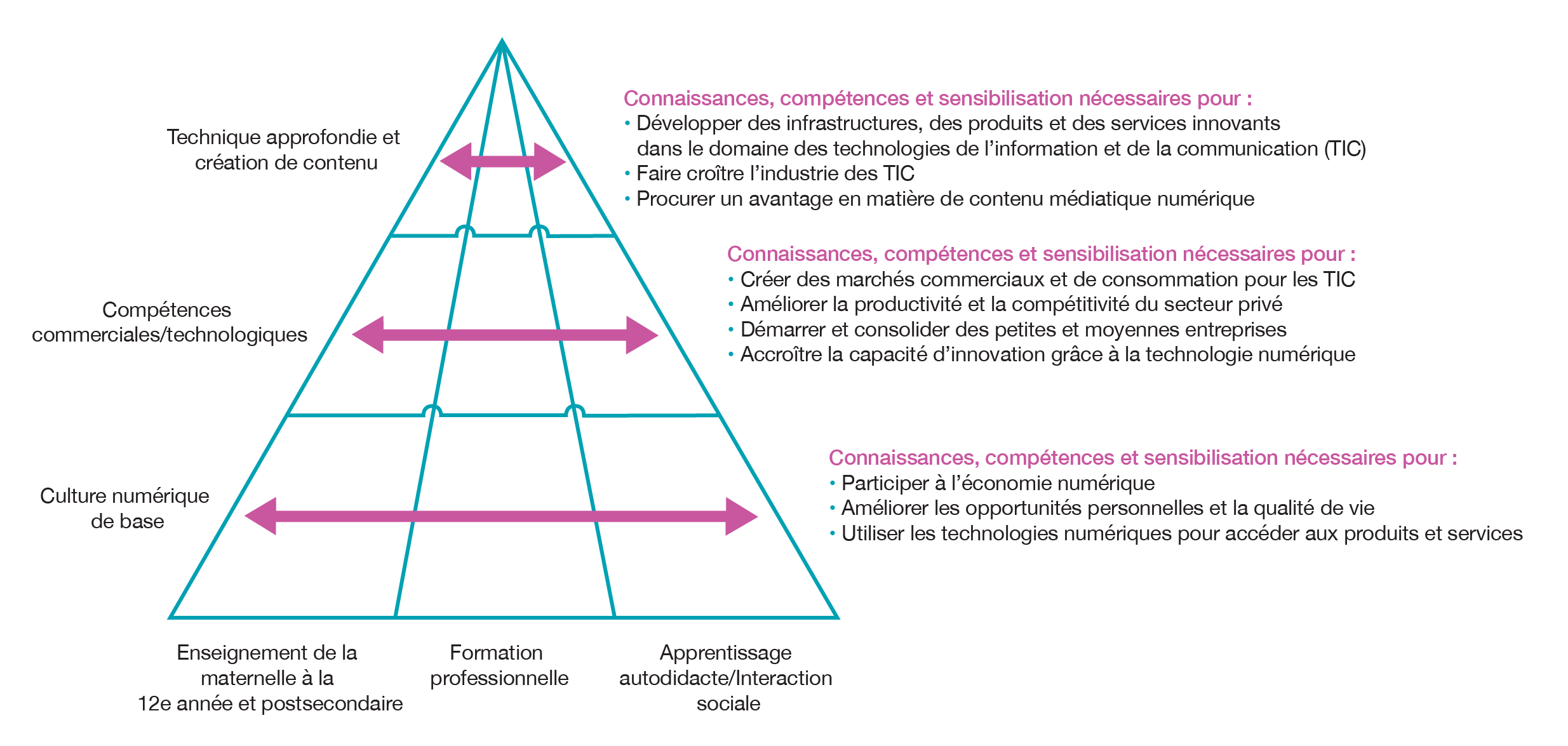 Le programme de formation avancée en compétences numériques et ...