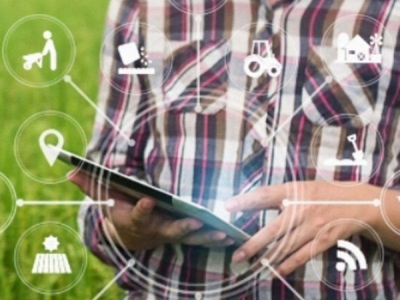 First-Year ENSCIMAN PhD - Environmental Applied Science and Management ...