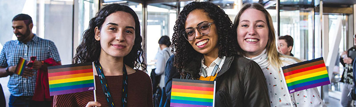 Pride Social - Vice-President, Equity & Community Inclusion - Toronto ...