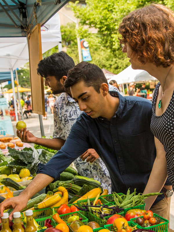 2SLGBTQ+ Artisans at the Tuesday Market - Vice-President, Equity ...
