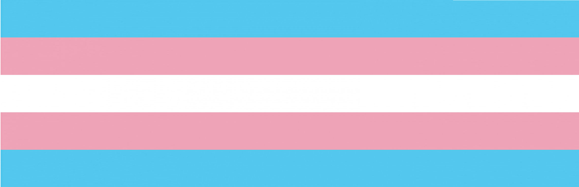 Equity & Community Inclusion - Toronto Metropolitan University