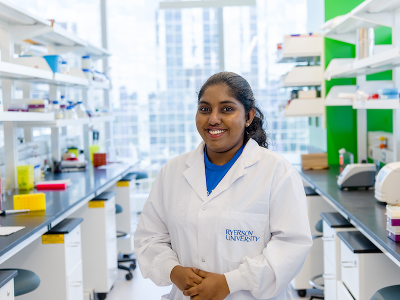 Planning Your Research Program - Faculty Affairs - Toronto Metropolitan ...