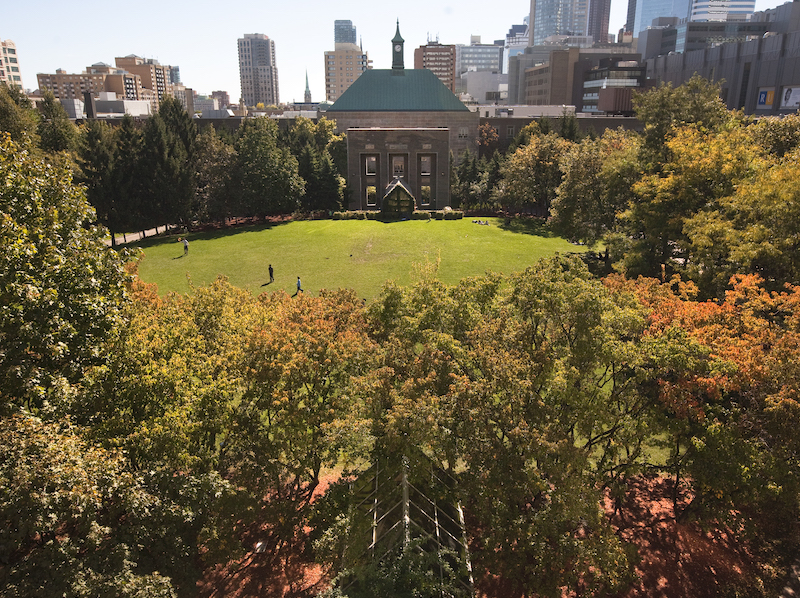 New directors - Faculty of Community Services News and Events - Toronto ...