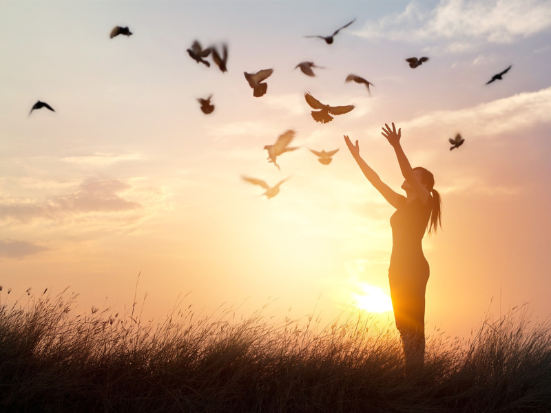 Forgiveness and acceptance of self - Indigenous TMU - Toronto ...