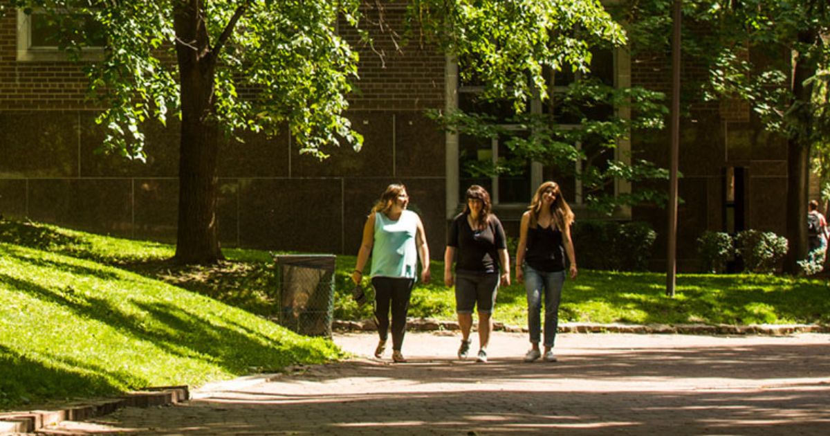 Indigenous Employee Services - Indigenous TMU - Toronto Metropolitan ...