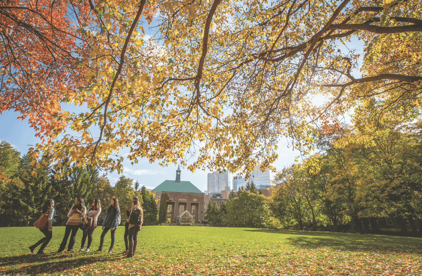 International - Toronto Metropolitan University (TMU)