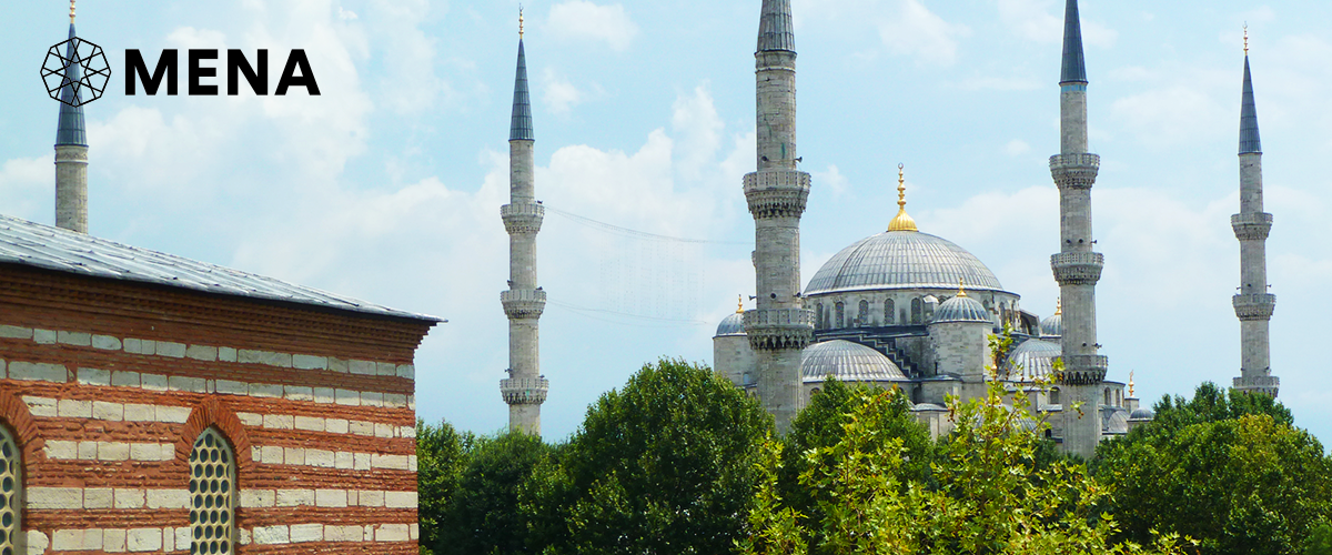 Middle East and North Africa (MENA) Studies Centre - Toronto ...