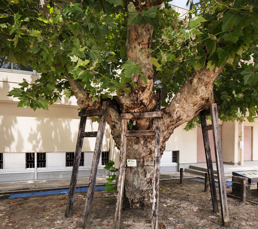 Documenting atomic legacies in Japan - News and Events - Toronto ...