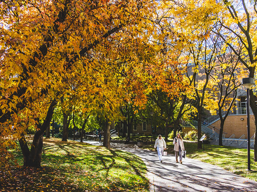 Helping our neighbours, any way we can - News and Events - Toronto ...