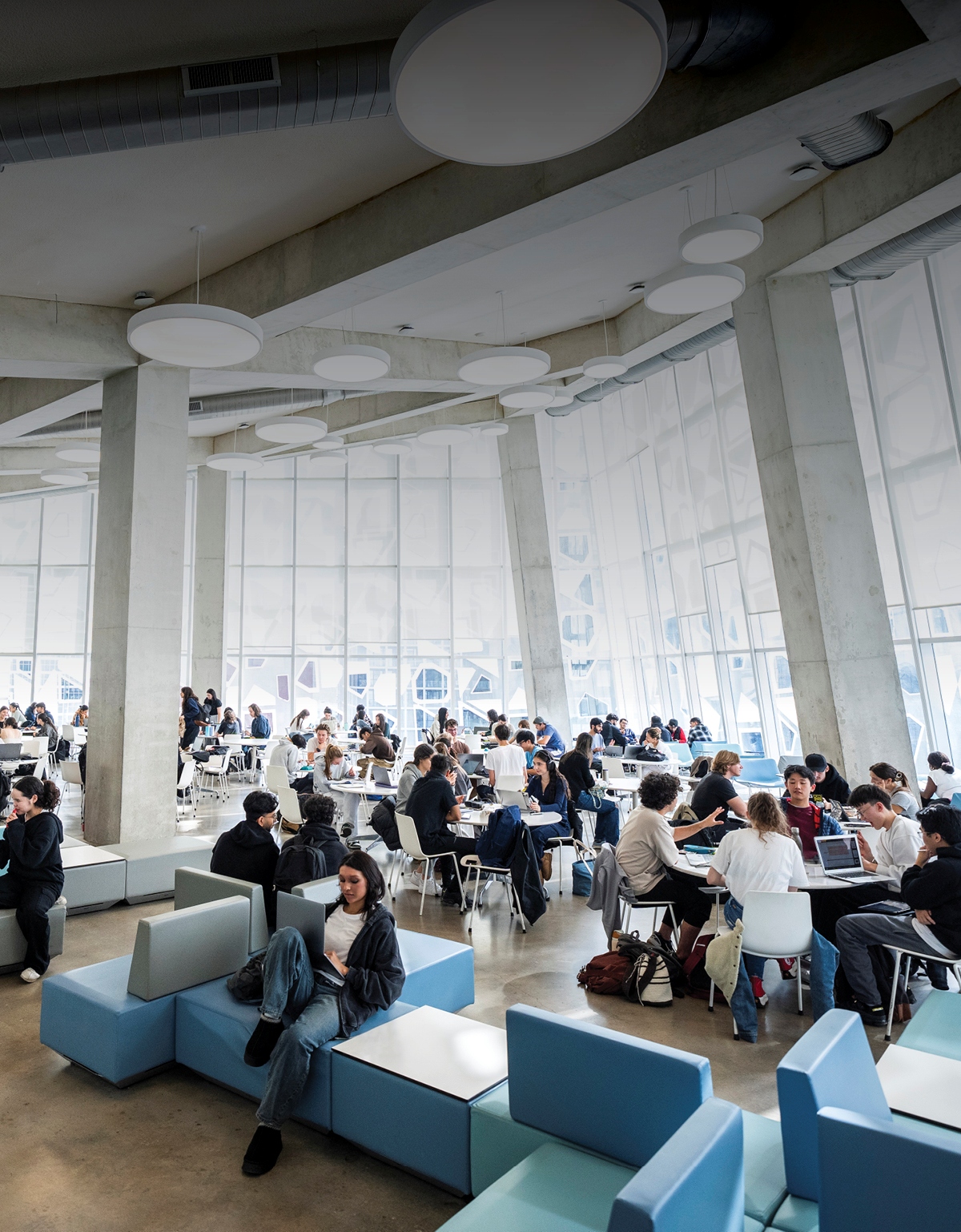 Academic Plan 2025-2030 - Provost & VP Academic - Toronto Metropolitan ...