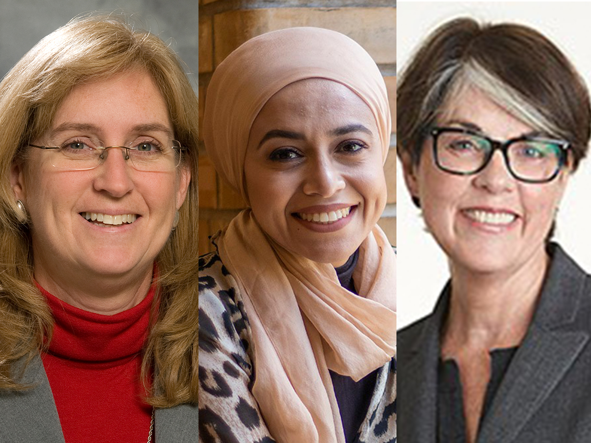 Interdisciplinary Research to Begin Under Knowledge Synthesis Grant ...