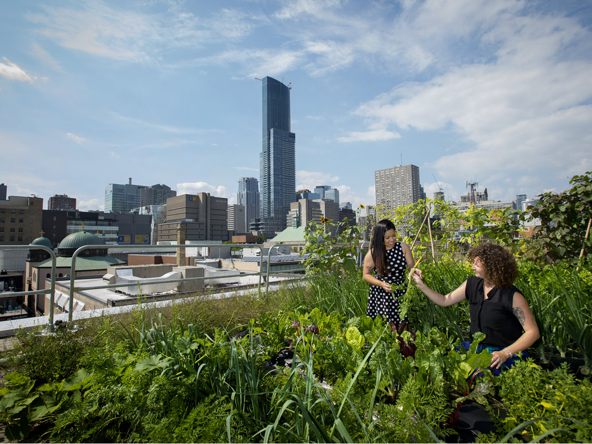 Senate Priorities Committee (SPC) - Senate - Toronto Metropolitan ...