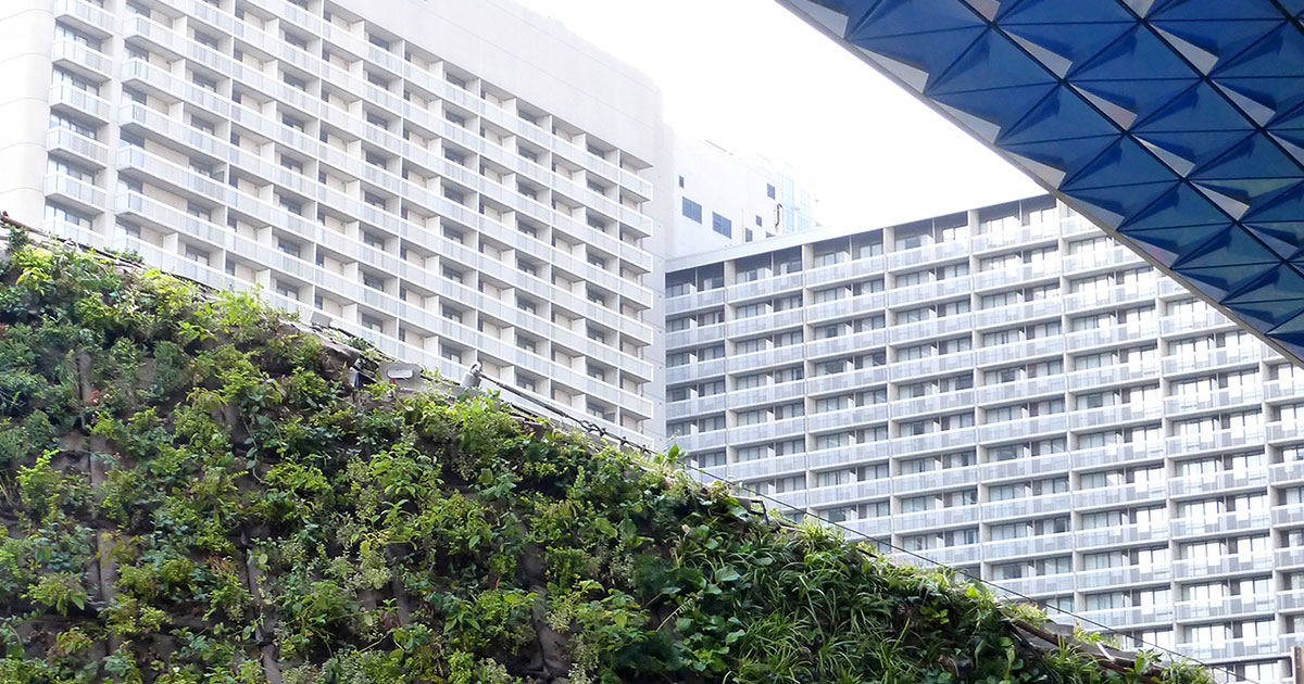 Sustainability Action Plan - Sustainability at TMU - Toronto Metropolitan University (TMU)