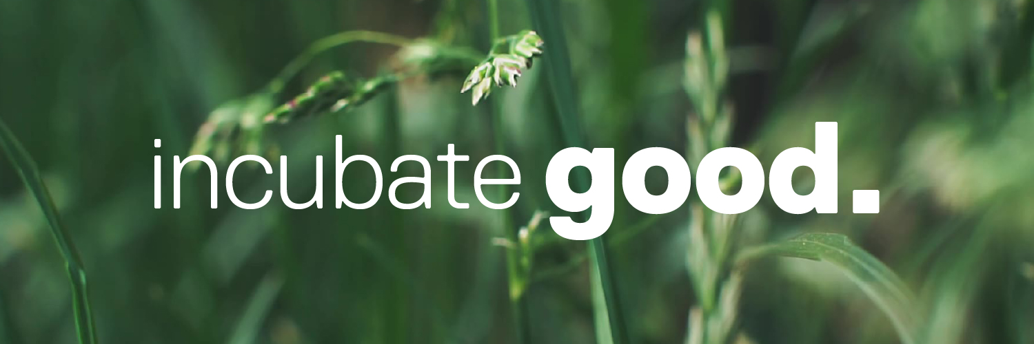 Incubation - Social Ventures Zone - Toronto Metropolitan University (TMU)