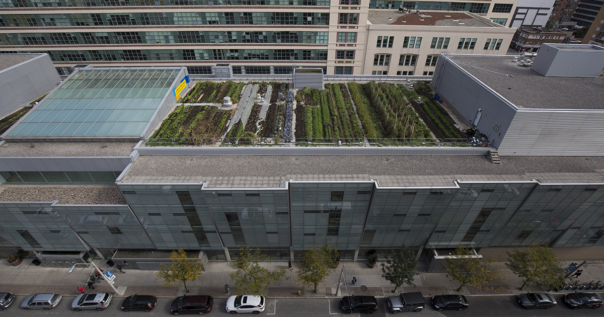 Urban Farm - University Business Services - Toronto Metropolitan ...