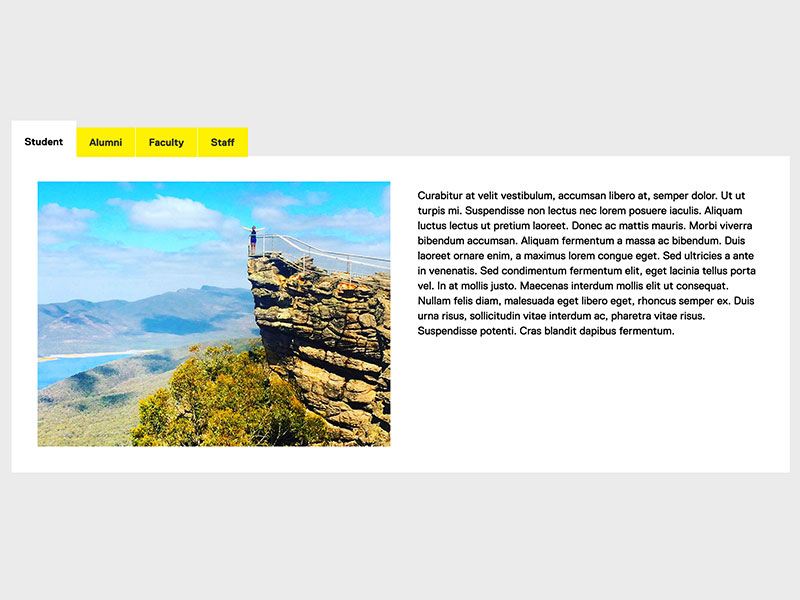 Tabs Layout Component - Web Support - Toronto Metropolitan University (TMU)